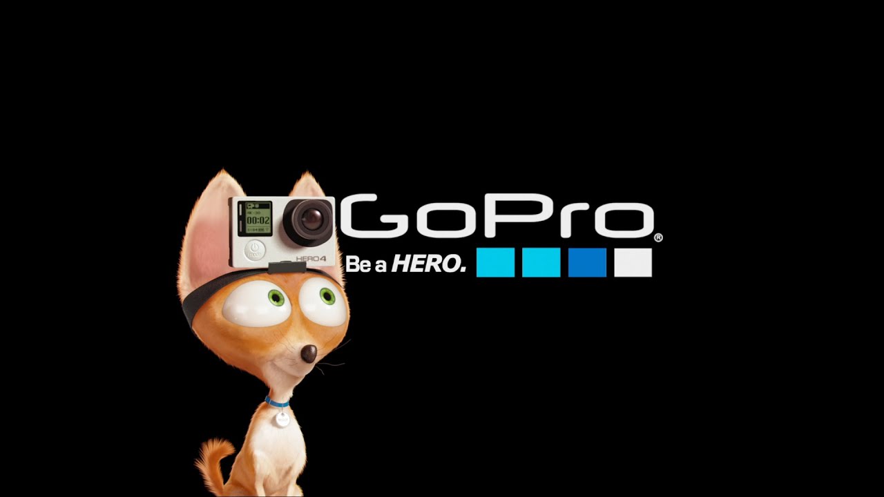 GoPro: The Secret Life of Pets | GoPro Times