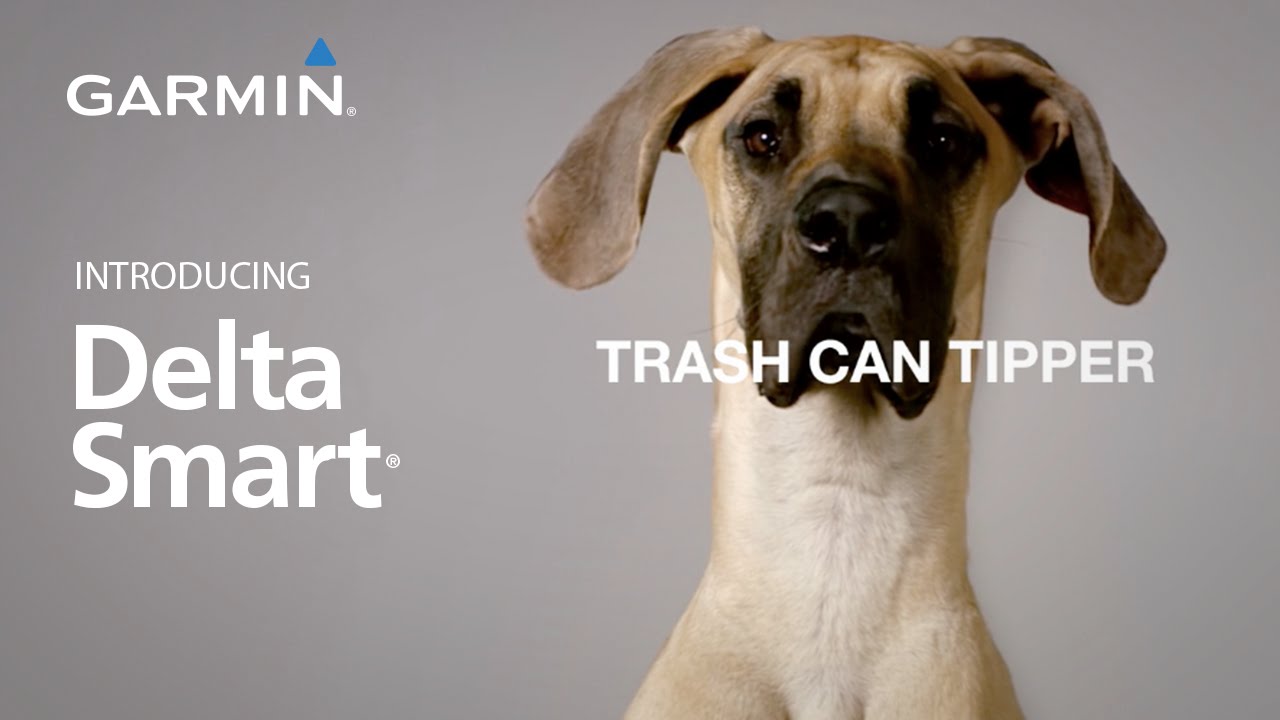 Delta Smart: Raise a Better Pet | GoPro Times