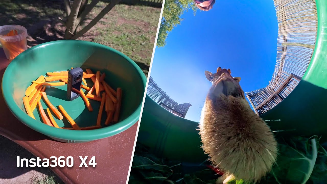 Insta360 X4 - 10+ Fun, Fresh Shot Ideas (ft. Luke Maximo Bell) | GoPro ...