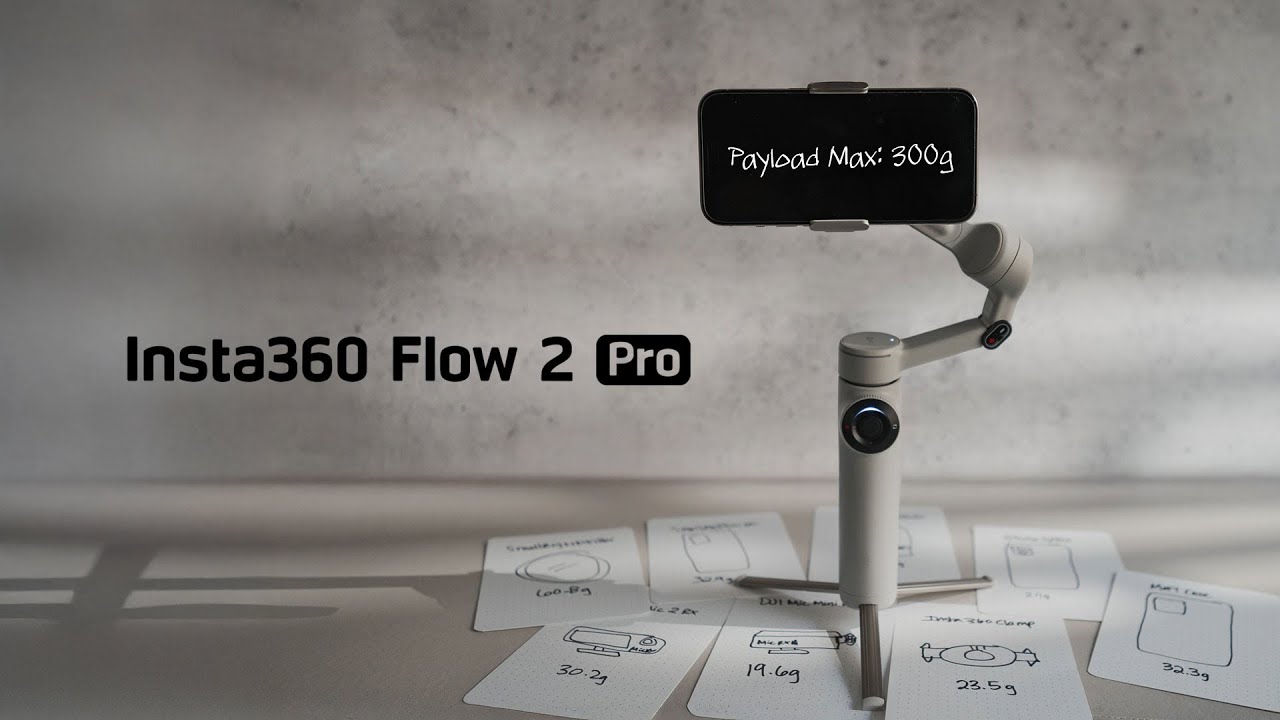 Insta360 Flow 2 Pro: Testing the Payload | GoPro Times