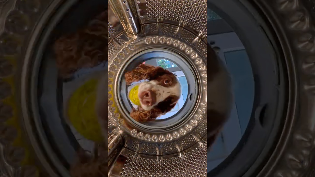 Can your cam get angles like this? Insta360 GO Ultra can 💪 | GoPro Times